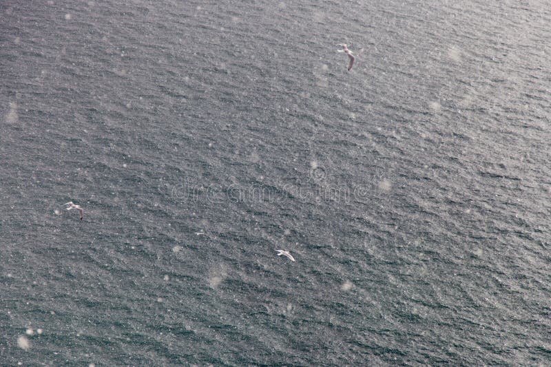 Snowfall Over the Sea Surface Stock Photo - Image of ocean, abstract ...