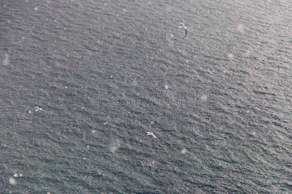 Snowfall Over the Sea Surface Stock Photo - Image of ocean, abstract ...