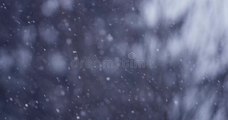 Snowfall Overlay - Winter, Slowly Falling Snow Effect Stock Footage ...