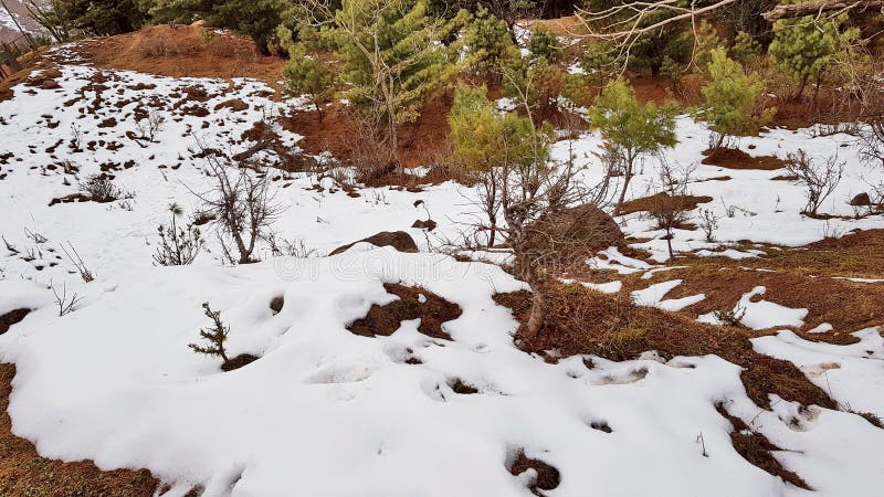Snowfall at Patnitop stock photo. Image of decoration - 207139476