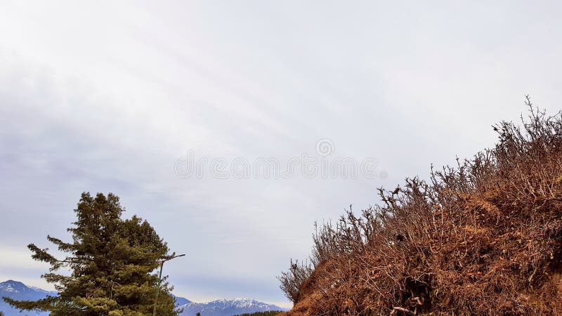Snowfall at Patnitop stock photo. Image of jammu, white - 207139188