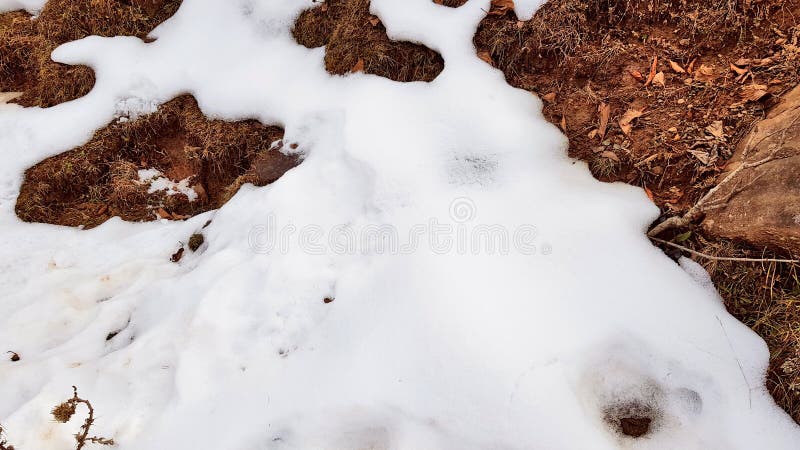 Snowfall at Patnitop stock image. Image of season, bright - 207138103