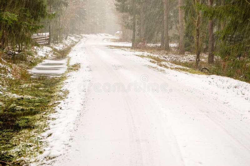 Snowfall on road stock photo. Image of forest, fall, snow - 49910340