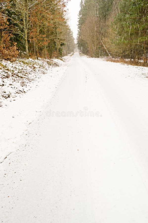 Snowfall on road stock photo. Image of weather, cold - 49910342
