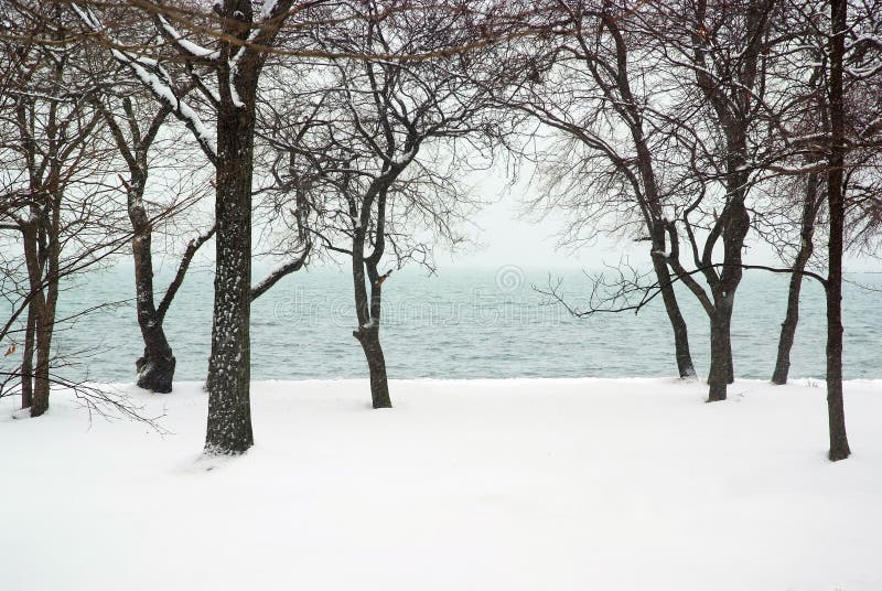Snowfall in the Sea Coastal Forest Stock Image - Image of christmas ...