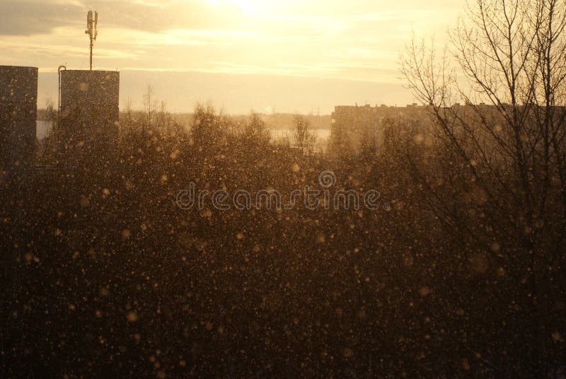 Snowfall on sunset stock photo. Image of evening, nature - 48232256