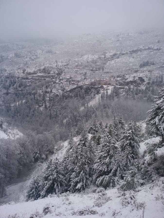 Snowfall in upper himachal stock photo. Image of looking - 171476566