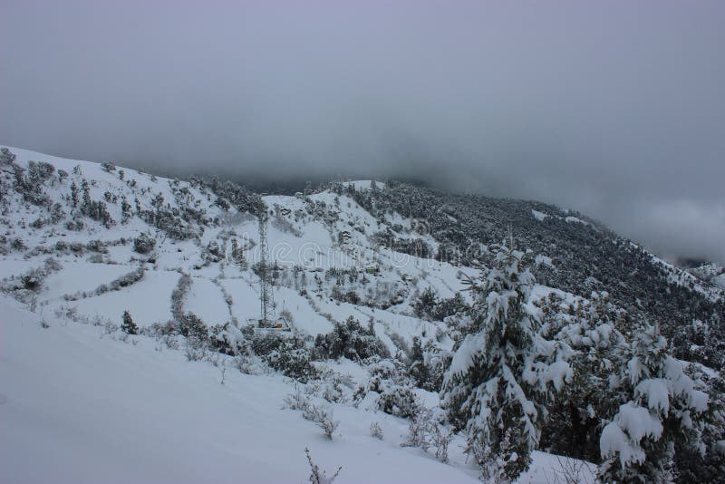 Snowfall view in himalaya stock image. Image of frost - 204454075