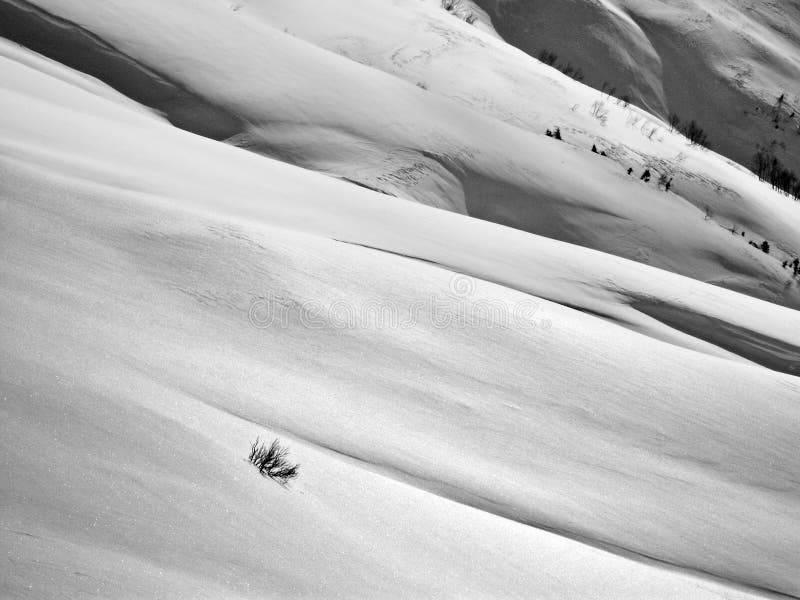 Snowfield stock photo. Image of nature, snowfields, slope - 298976