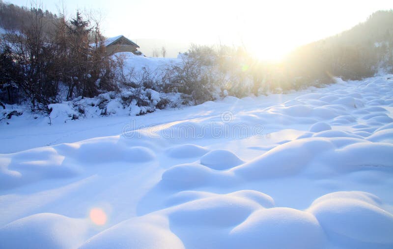 Snowfield stock photo. Image of dawn, blank, blue, golden - 43704082