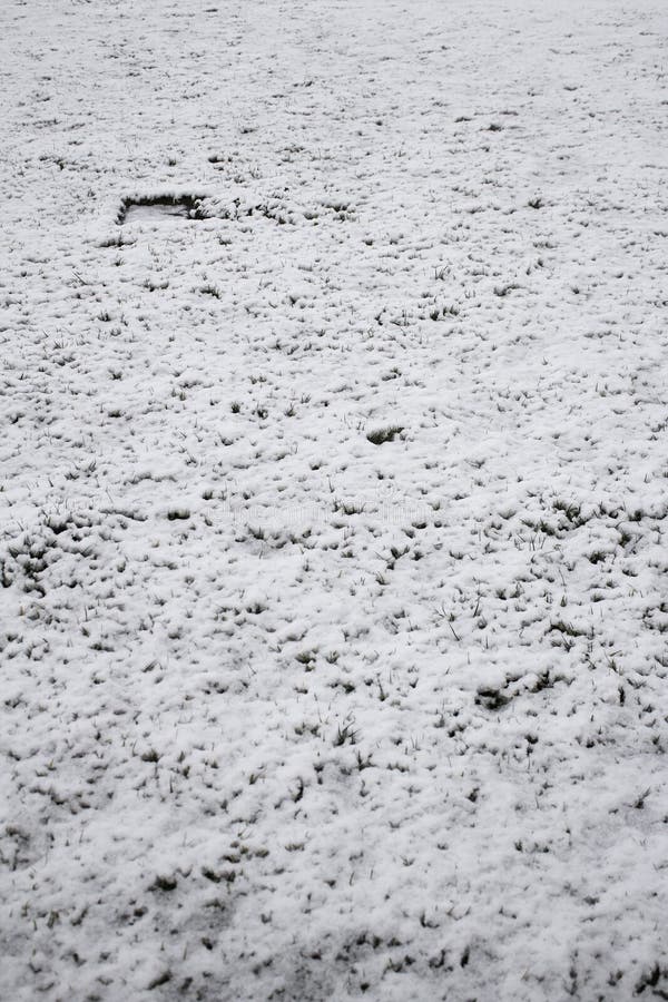 Snowfield nature field stock image. Image of outdoor - 80272671