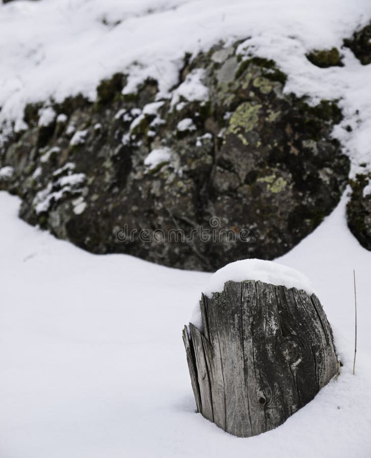 Snowfield nature field stock image. Image of outdoor - 80272671