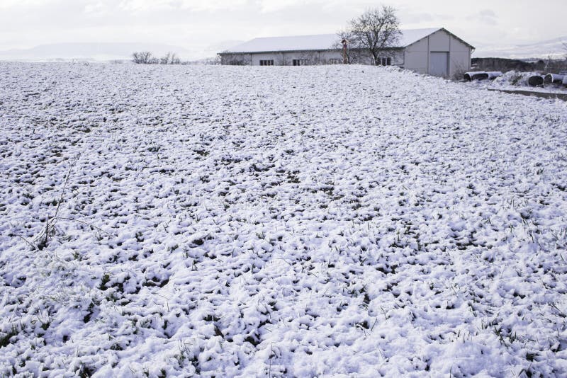 Snowfield nature field stock image. Image of outdoor - 80272671