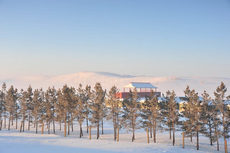 Snowfield stock image. Image of lake, iced, northland - 79226863