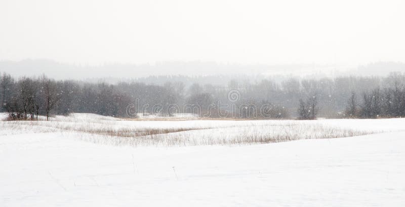 Snowfield in snowstorm stock image. Image of mountain - 12667641