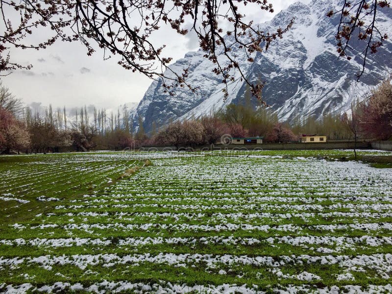 Snowfield stock image. Image of fall, snow, snowfield - 104616445