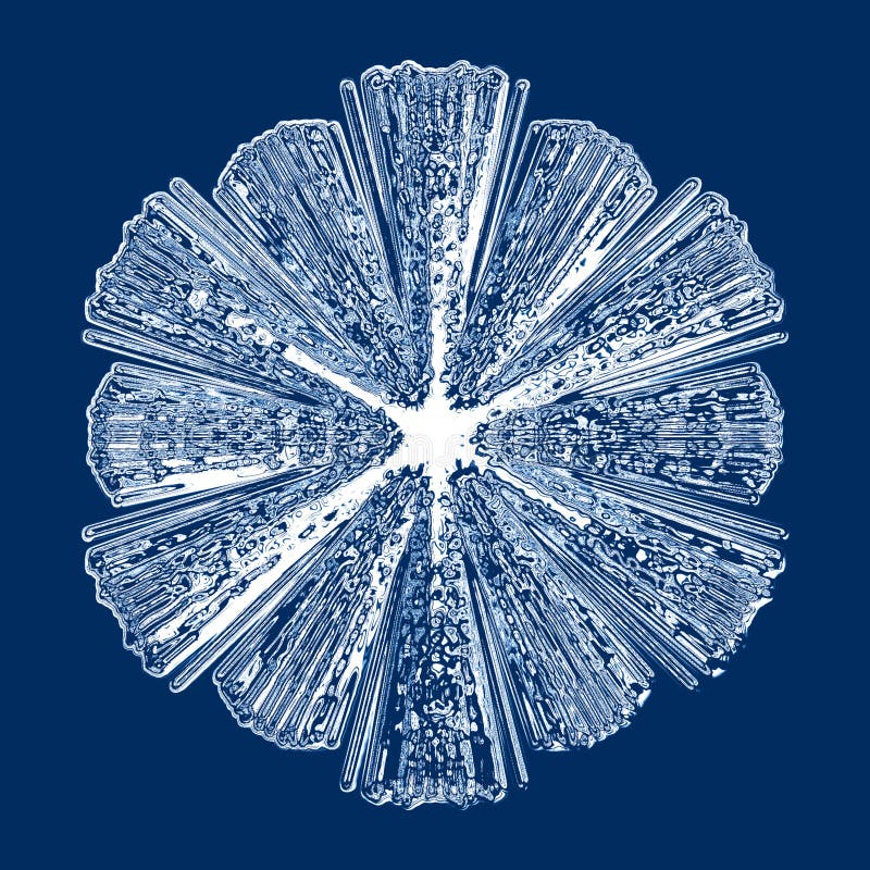 Snowflake stock illustration. Illustration of relief, texture - 1423598