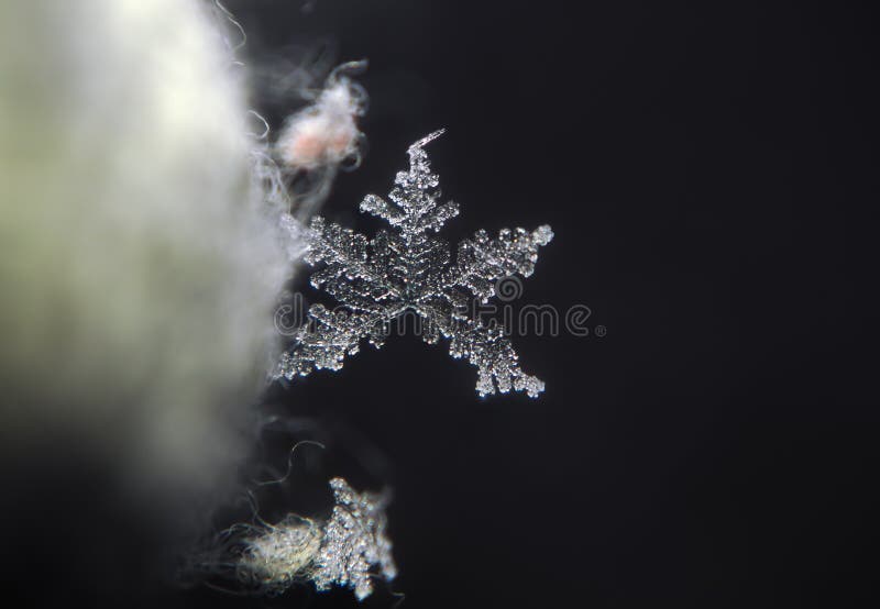 Snowflake Melting At The Sun On Dark Blue Background Stock Image ...