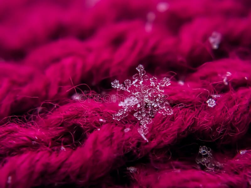 Snowflake Beautiful on the Red Winter Background Stock Photo - Image of ...