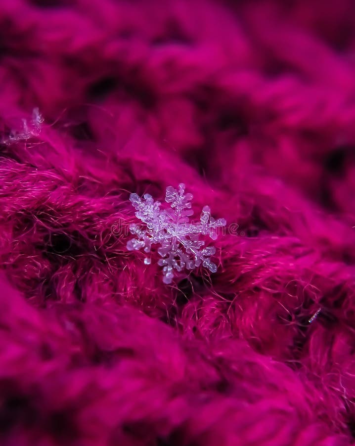 Snowflake Beautiful on the Red Winter Background Stock Image - Image of ...