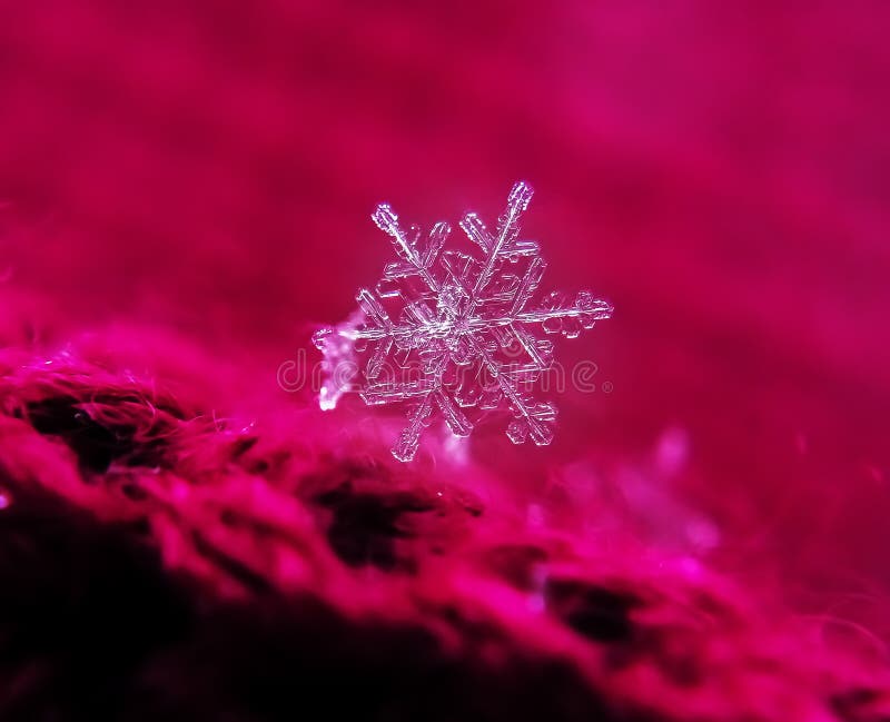 Snowflake Beautiful on the Red Winter Background Stock Photo - Image of ...