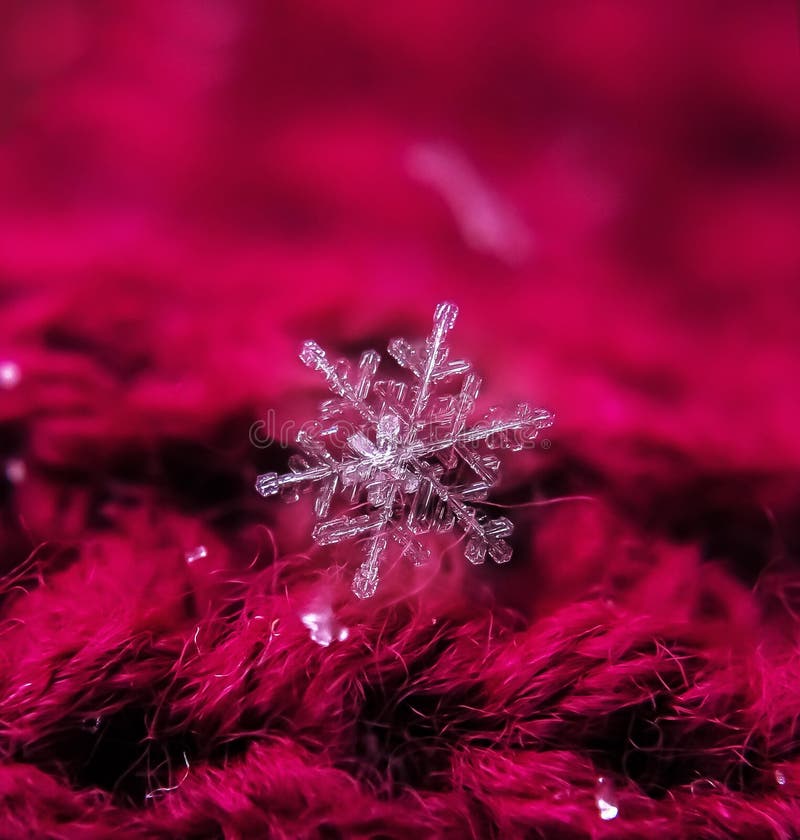Snowflake Beautiful on the Red Winter Background Stock Image - Image of ...
