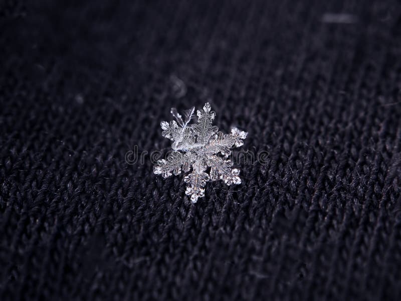 Snowflake Beautifull on the Grey Background Stock Photo - Image of ...