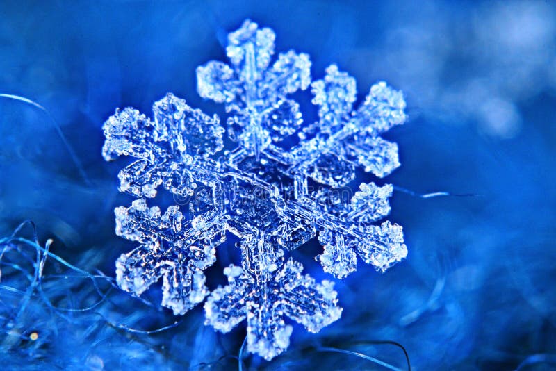 Snowflake crystal natural stock image. Image of design - 58560975
