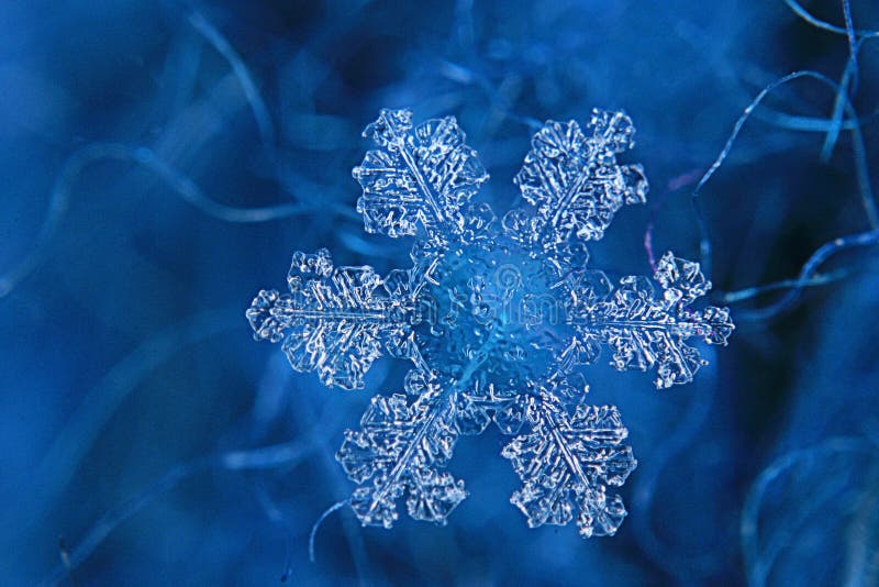 Snowflake Crystal Natural Snow Stock Photo - Image of frosty, holiday ...