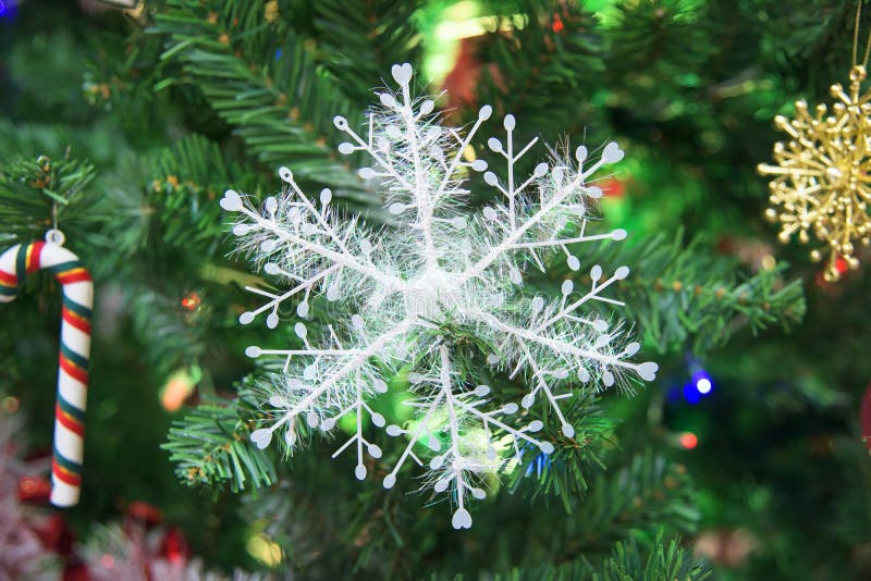 Snowflake Decorated on Christmas Tree Stock Image - Image of friends ...