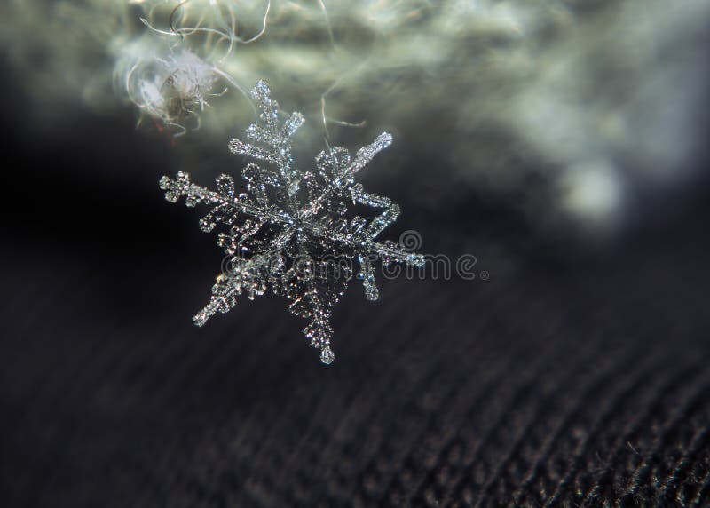 Snowflake Falling Down Macro Stock Image - Image of closeup, close ...