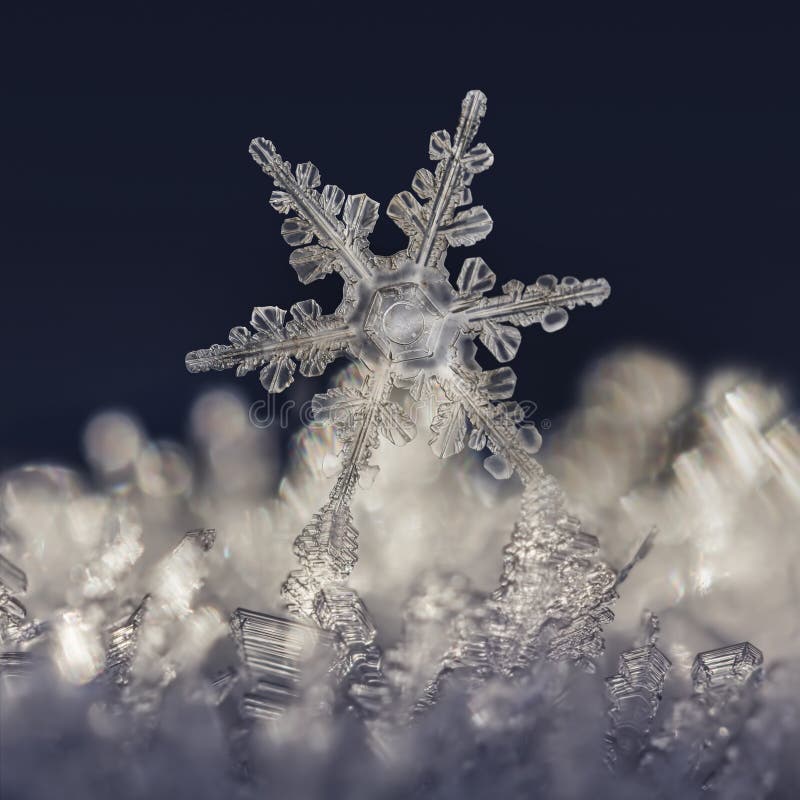 Snowflake Frost stock photo. Image of frost, hoarfrost - 60775682