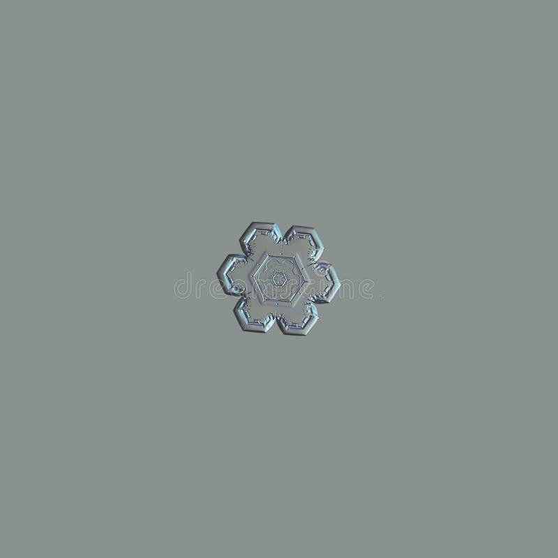 Snowflake on Gray Background Stock Image - Image of christmas, gray ...