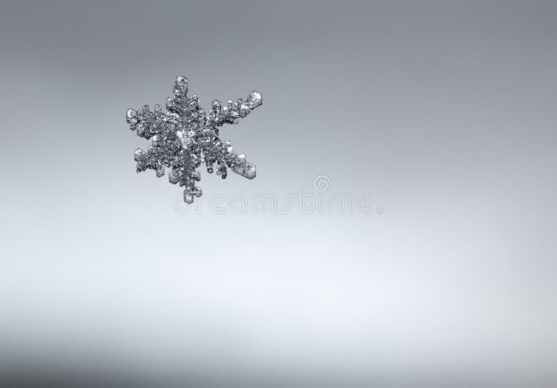 Snowflake on Grey Background Stock Photo - Image of sparkle, winter ...