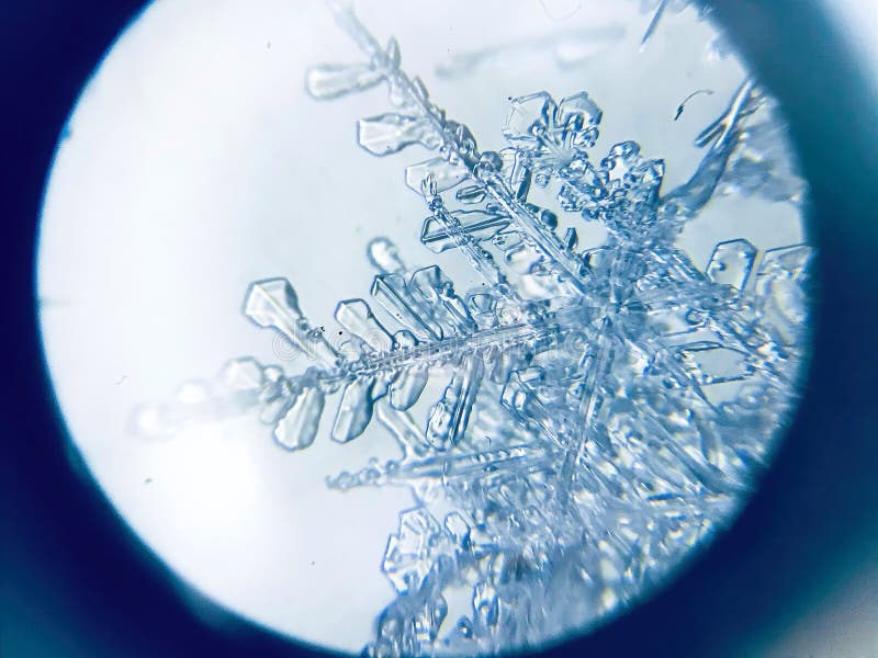 Snowflake Ice Crystal Stellar Dendrite Under Microscope Stock Image ...