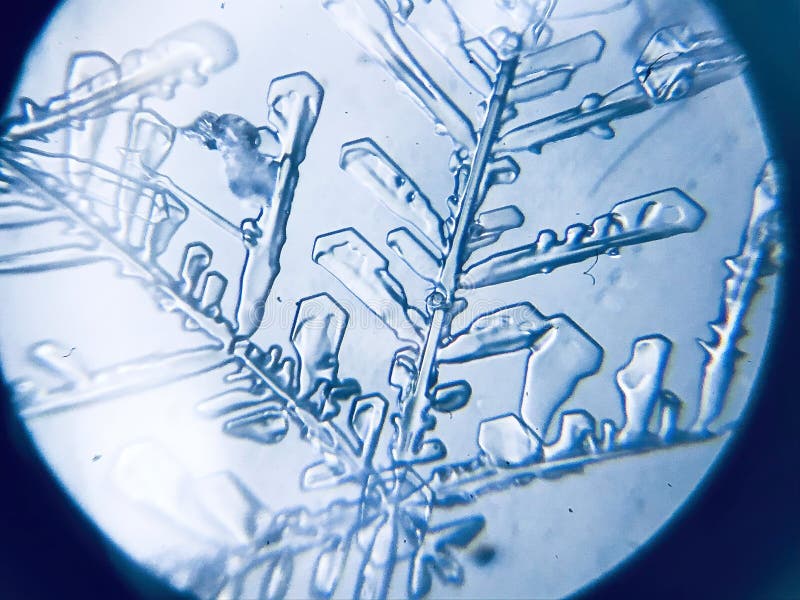 Snowflake Ice Crystal Stellar Dendrite Under Microscope Stock Photo ...