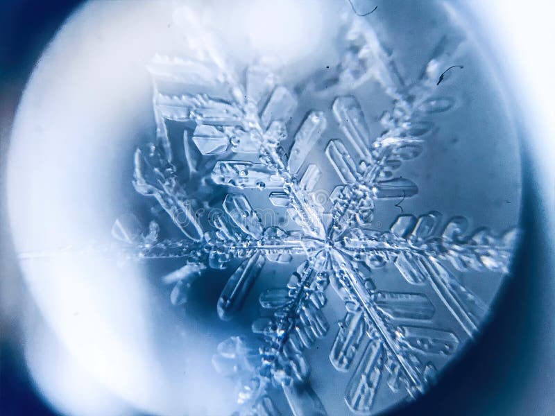 Snowflake Ice Crystal Stellar Dendrite Under Microscope Stock Image ...