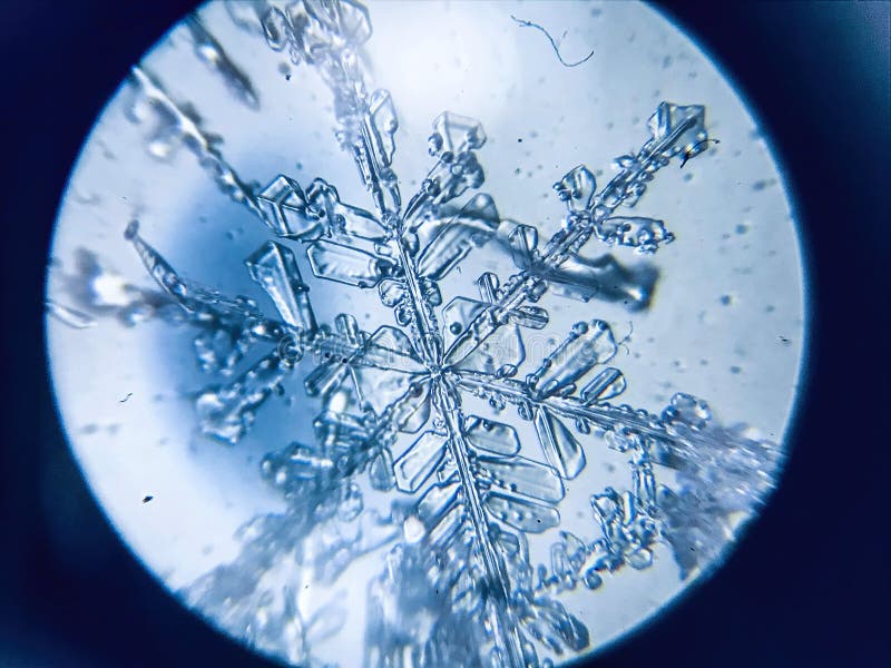 Snowflake Ice Crystal Stellar Dendrite Under Microscope Stock Photo ...
