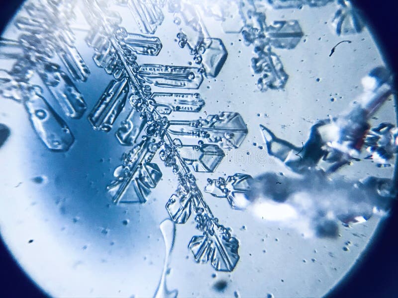 Snowflake Ice Crystal Stellar Dendrite Under Microscope Stock Image ...