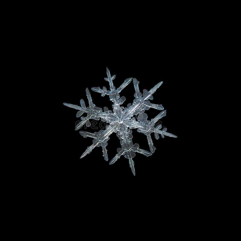 Real Snowflake Isolated on Black Background Stock Image - Image of ...