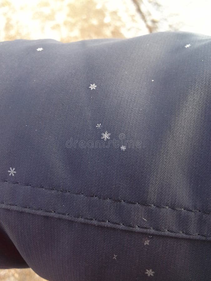 Snowflake Lies on Fabric Clothing. during the Snow Stock Image - Image ...