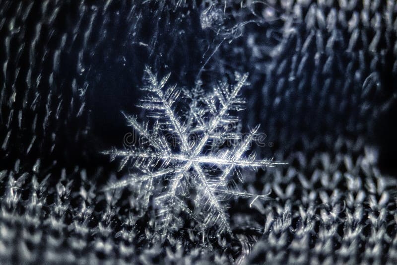 Snowflake macro photo stock image. Image of cold, snowflake - 170540093
