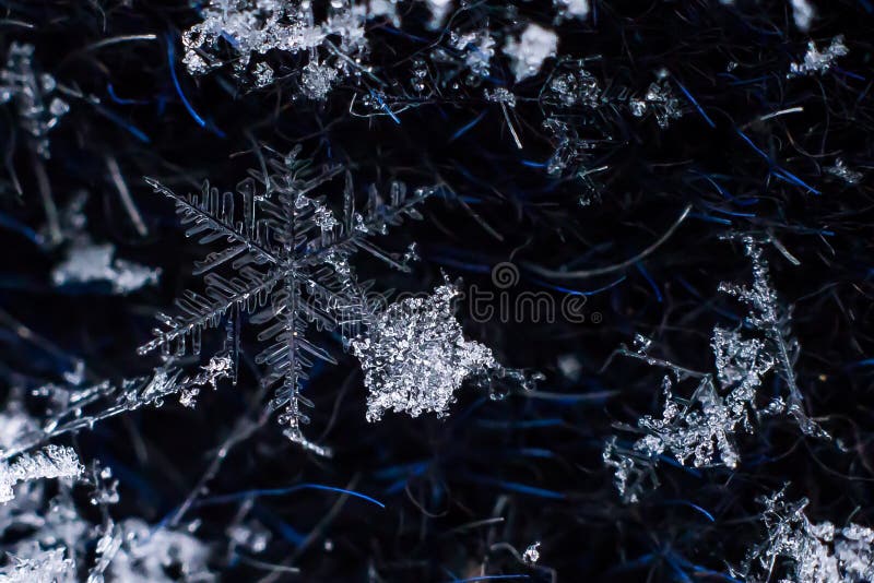 Snowflake Natural Macro Closeup Shot Stock Image - Image of flake, real ...