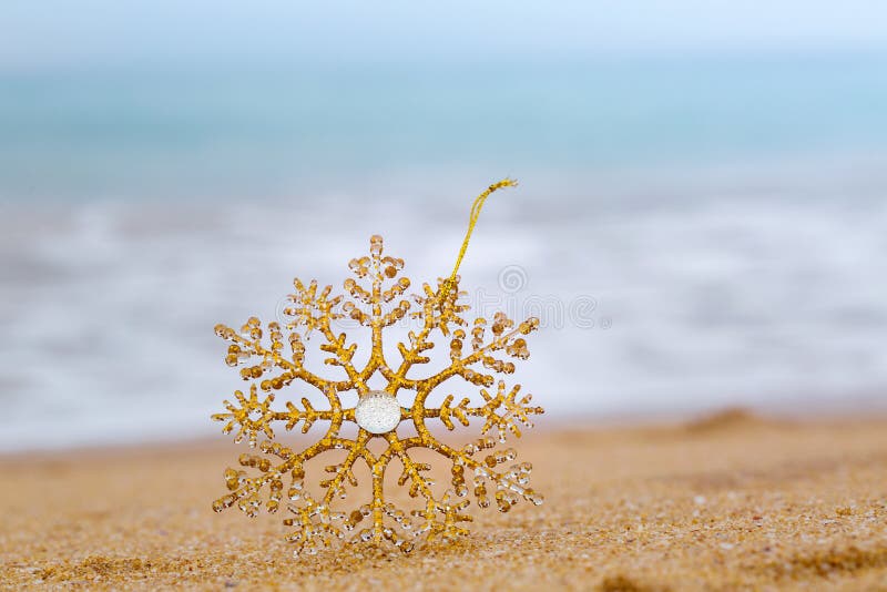 Snowflake on a sandy beach stock image. Image of snowflake - 166217869