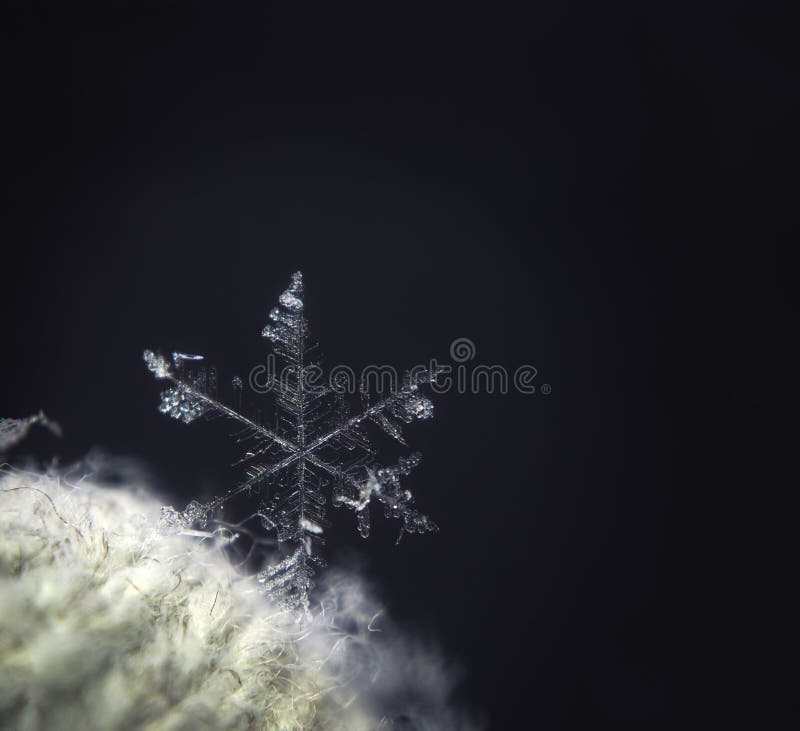 Snowflake Shining Bright Crystal Star at Night Stock Image - Image of ...
