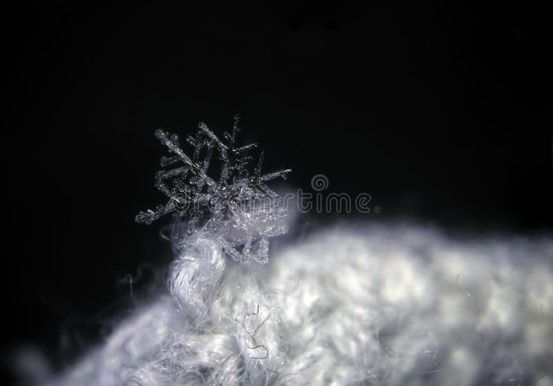 Snowflake Shining at Dark Night Stock Image - Image of snow, dark: 85780207