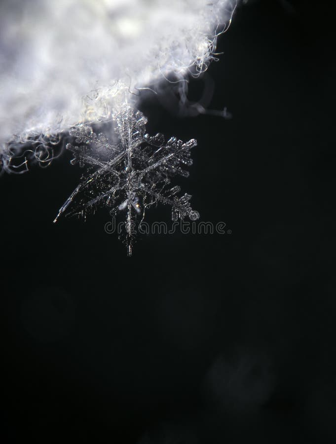 Snowflake Shiny at the Night Stock Photo - Image of frost, melt: 85780572