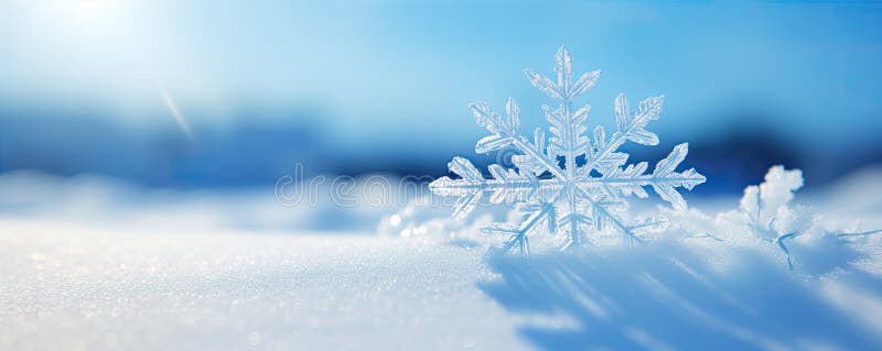 Snowflake on Snow. Snowy Flake in Sunset Light Stock Illustration ...