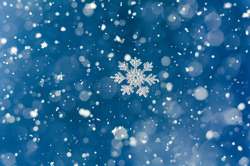 Snowflake Suspended in the Air, Shining Brightly in the Warm Winter ...