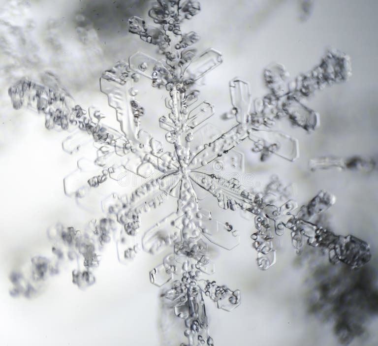 Snowflake Under Microscope. Stock Image - Image of real, seasonal: 84290027